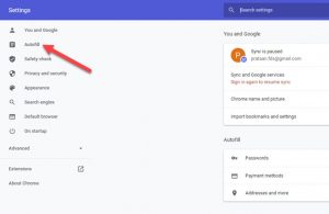 How To Delete Autocomplete URL Suggestions In Google Chrome?