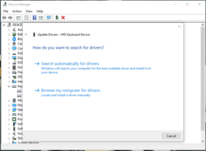 How To Reinstall Keyboard Driver In Windows 10? [SOLVED]