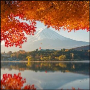 Rainmeter Animated Wallpaper - Complete Guide