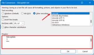 How To Fix An Encoding Error In Microsoft Word