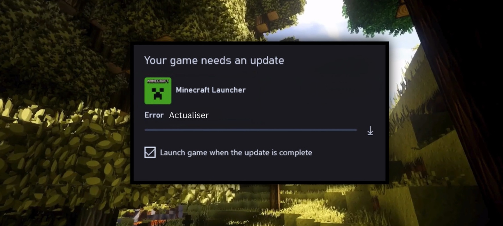 Minecraft Error Actualiser